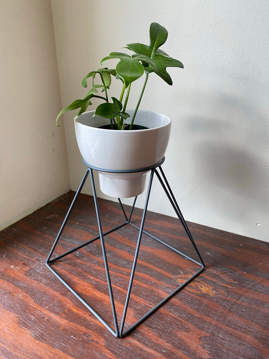 Orion Compote Pot – WILDEHAUS
